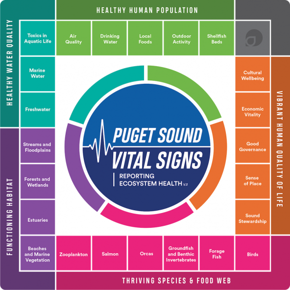 Summary report of 2022 human wellbeing Vital Signs survey ...